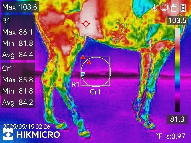MIBI- Mobile Infrared Building Imaging – Infrared Scanning for Homes ...